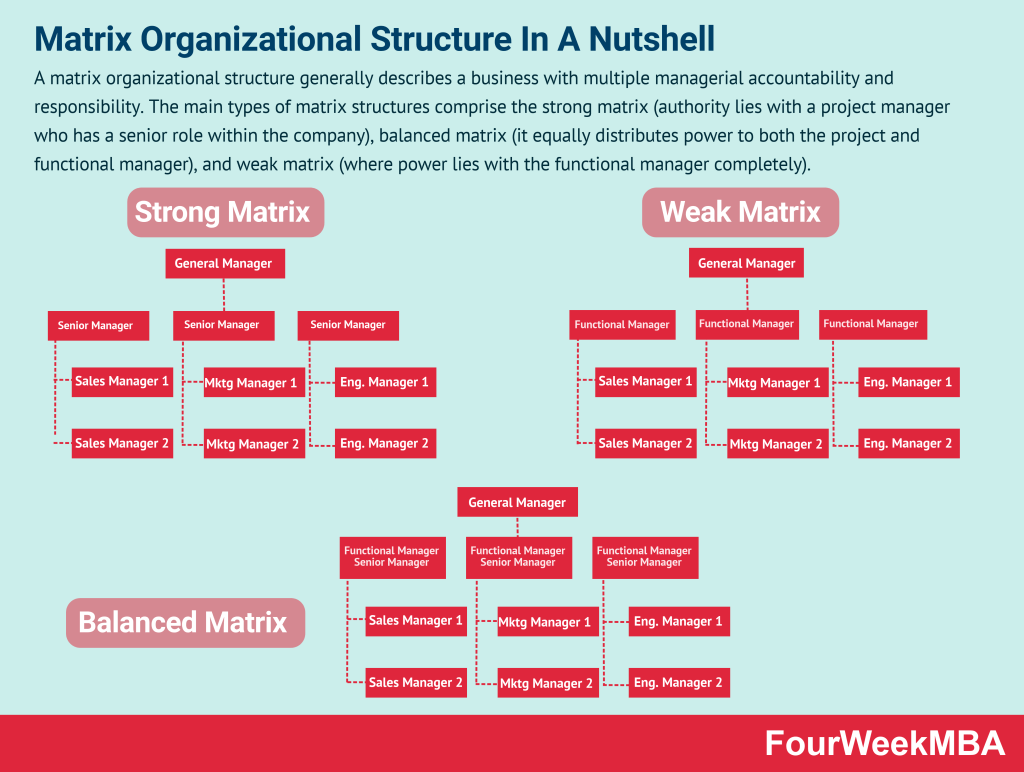What Is Holacracy And Why It Matters In Business Fourweekmba