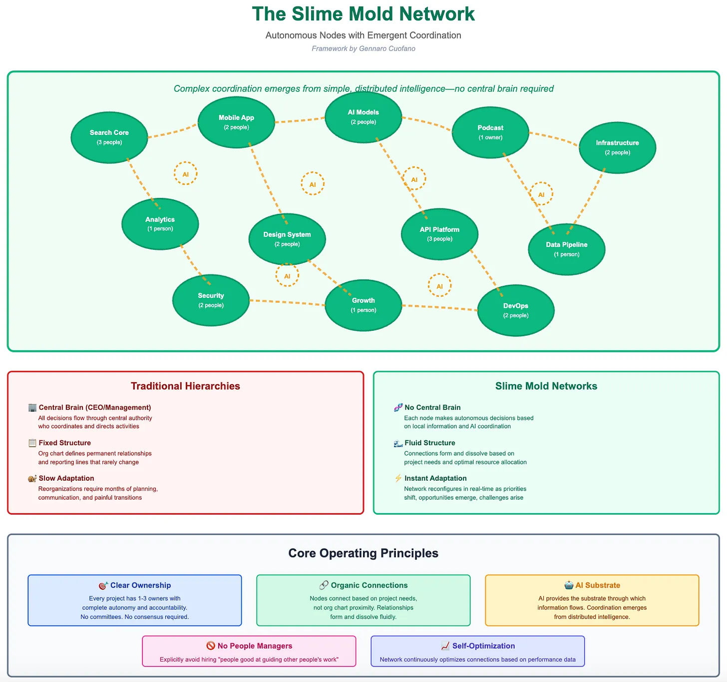 The Slime Mold Network - FourWeekMBA